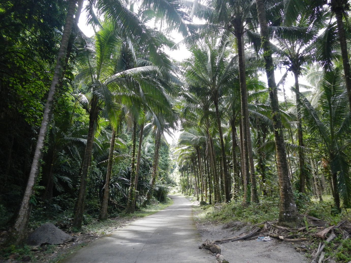 Philippines Mar2013 MikeB 101 | Philippine-Asian Missions, Inc.